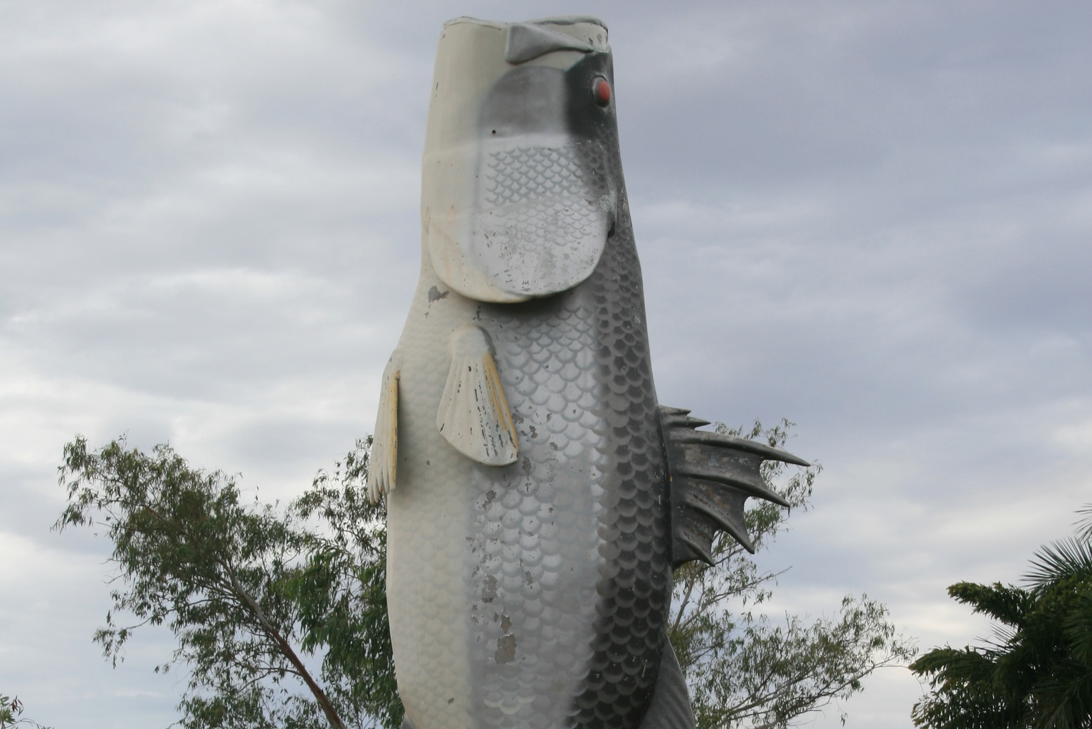 The Big Barramundi in Normanton