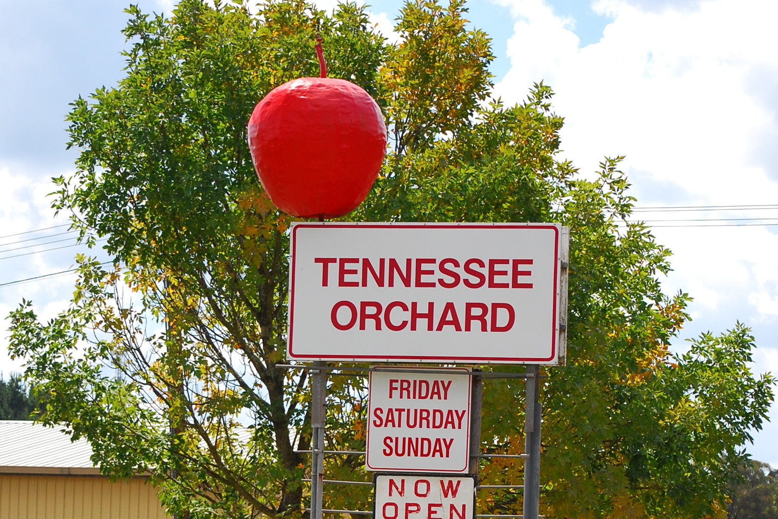 The Big Apple in Yerrinbool