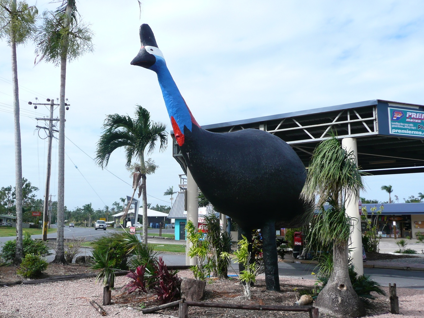 The Big Cassowary in Mission Beach