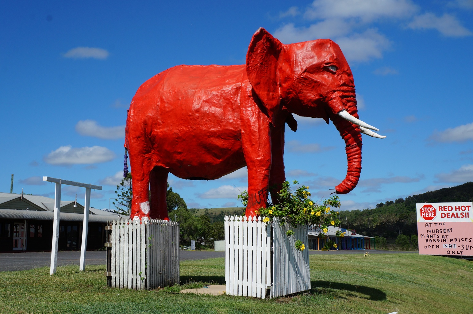 The Big Red Elephant in Lockyer Valley