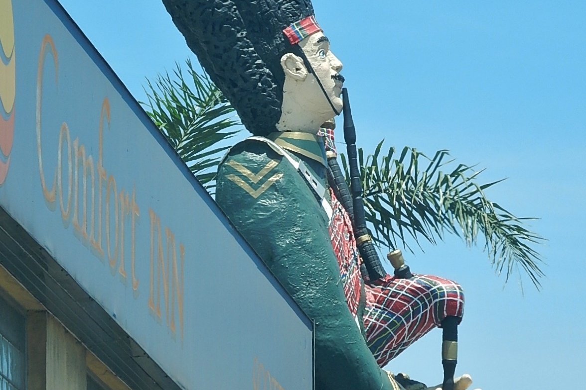 The Big Scotsman in Medindie