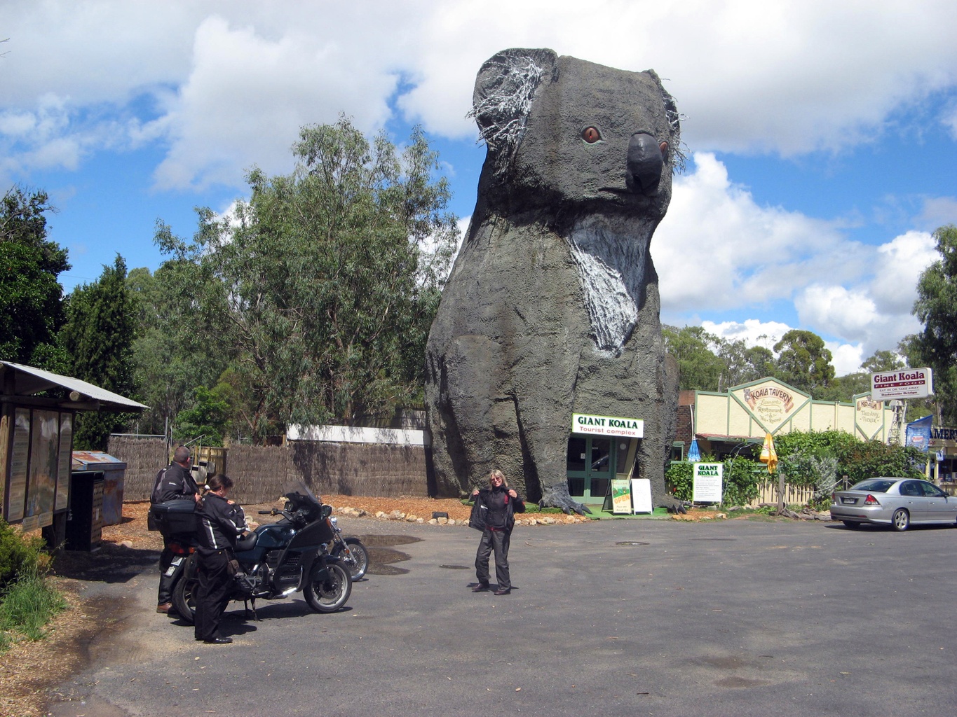 The Giant Koala in Dadswells Bridge
