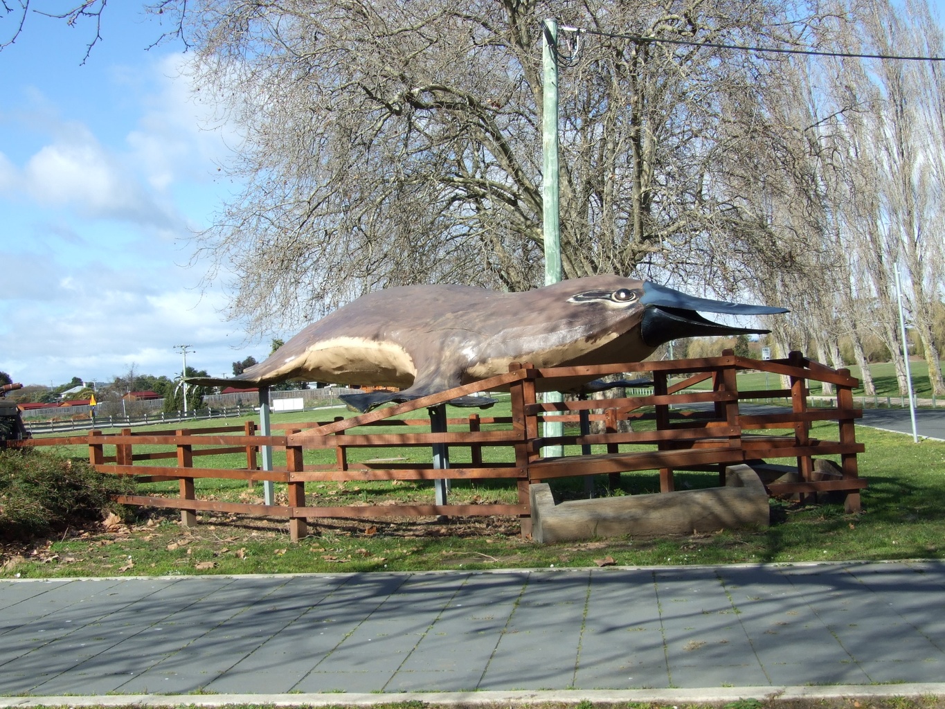 The Big Platypus in Latrobe