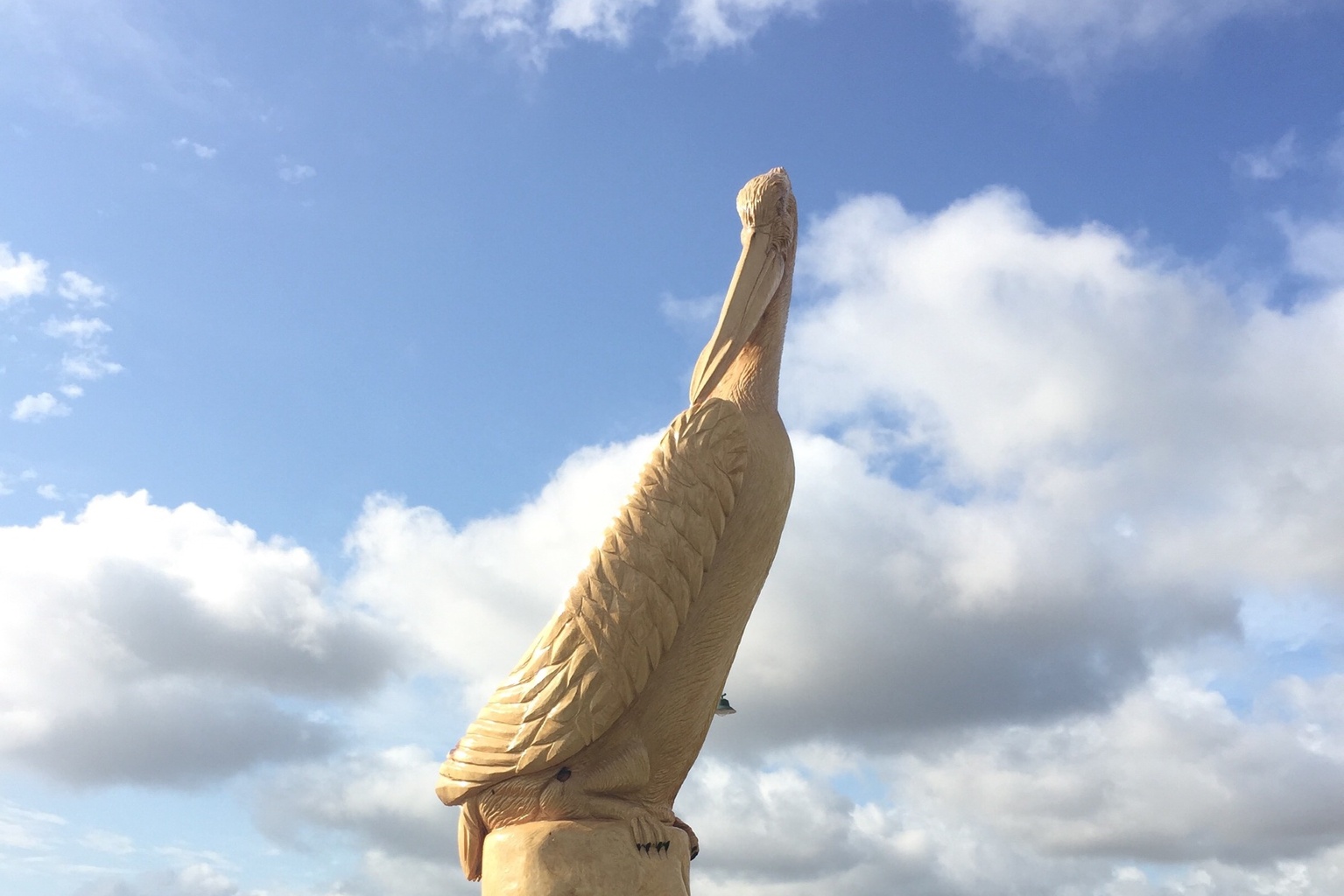 The Big Pelican in Meningie