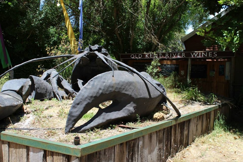 The Big Marron at Old Kent River Winery