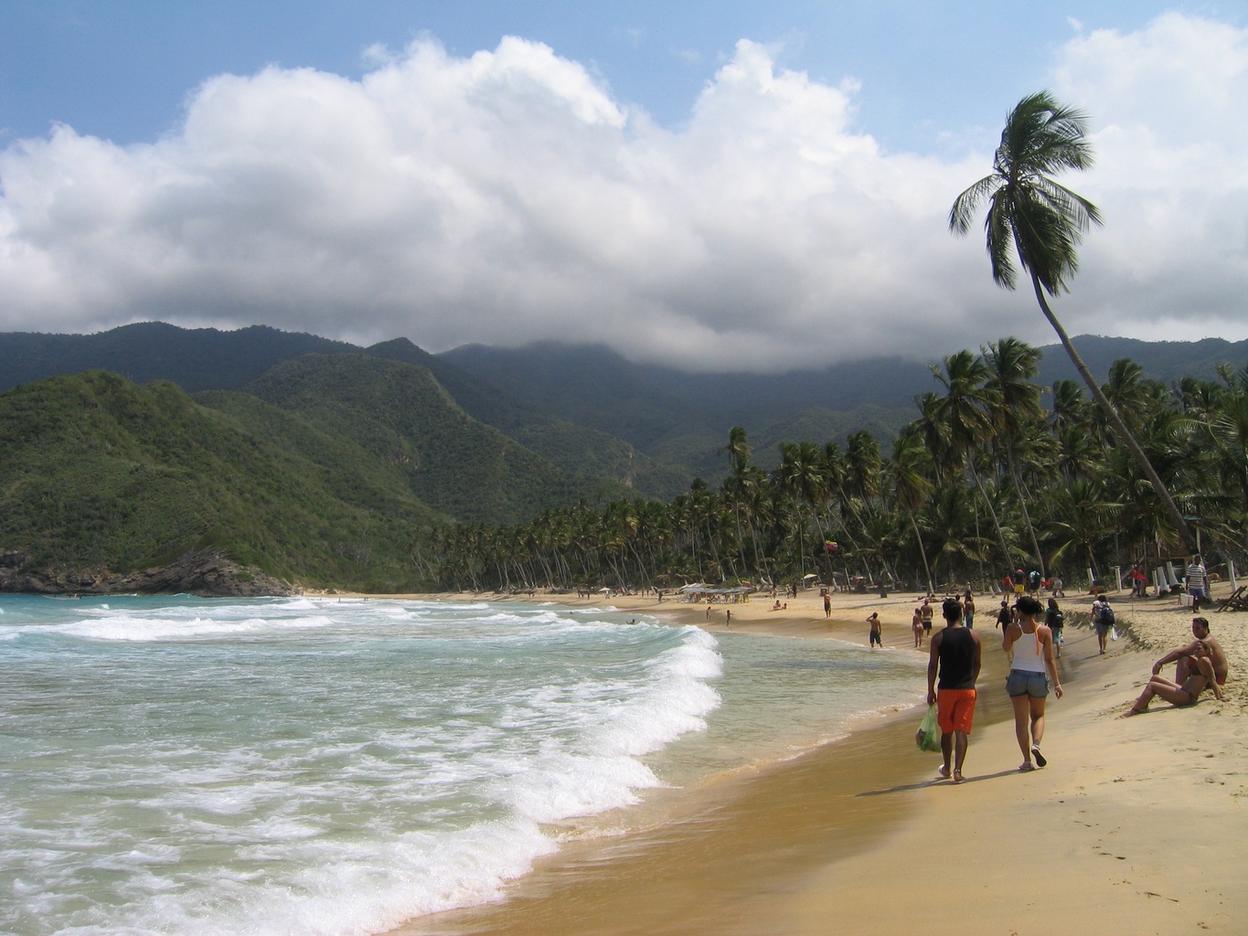Choroni Beach (Playa Grande)