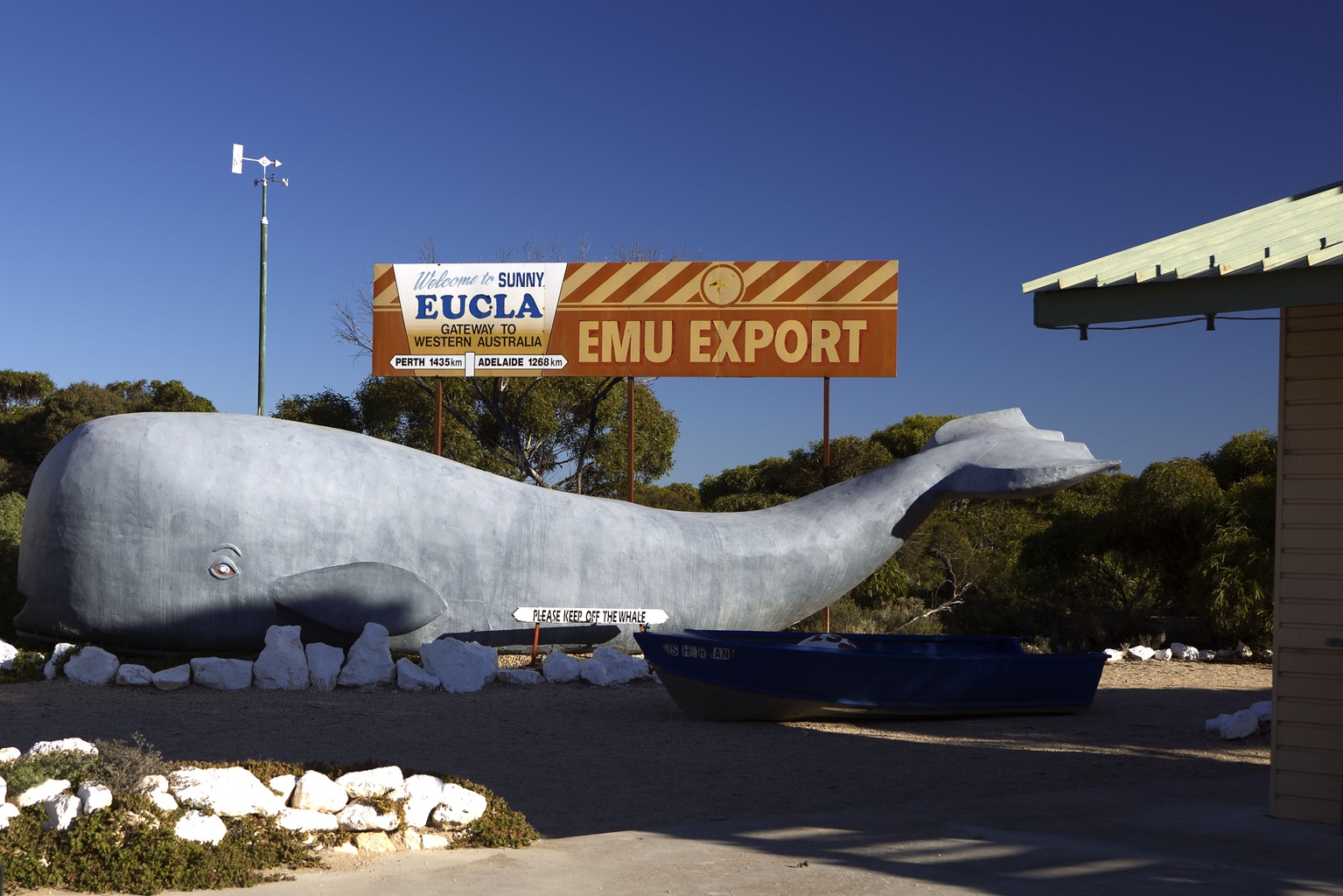 Leeuwin Way Whale in Eucla
