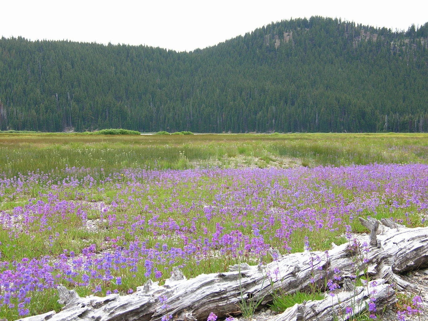 Cascade Lakes Scenic Byway