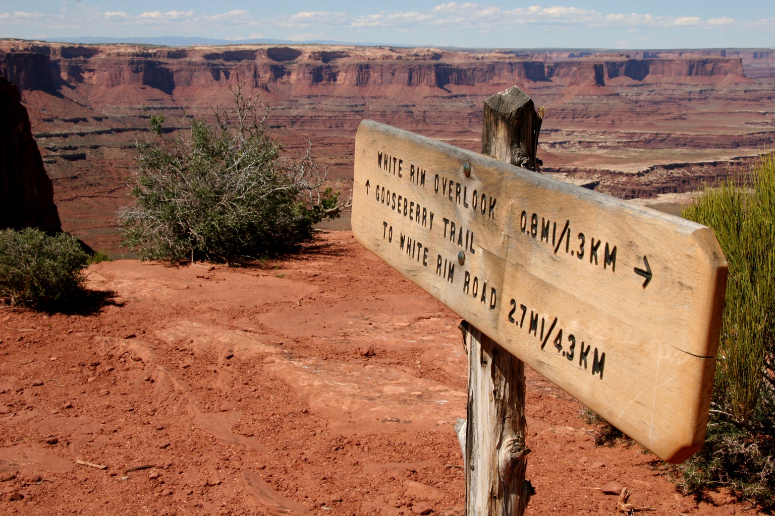 White Rim Overlook