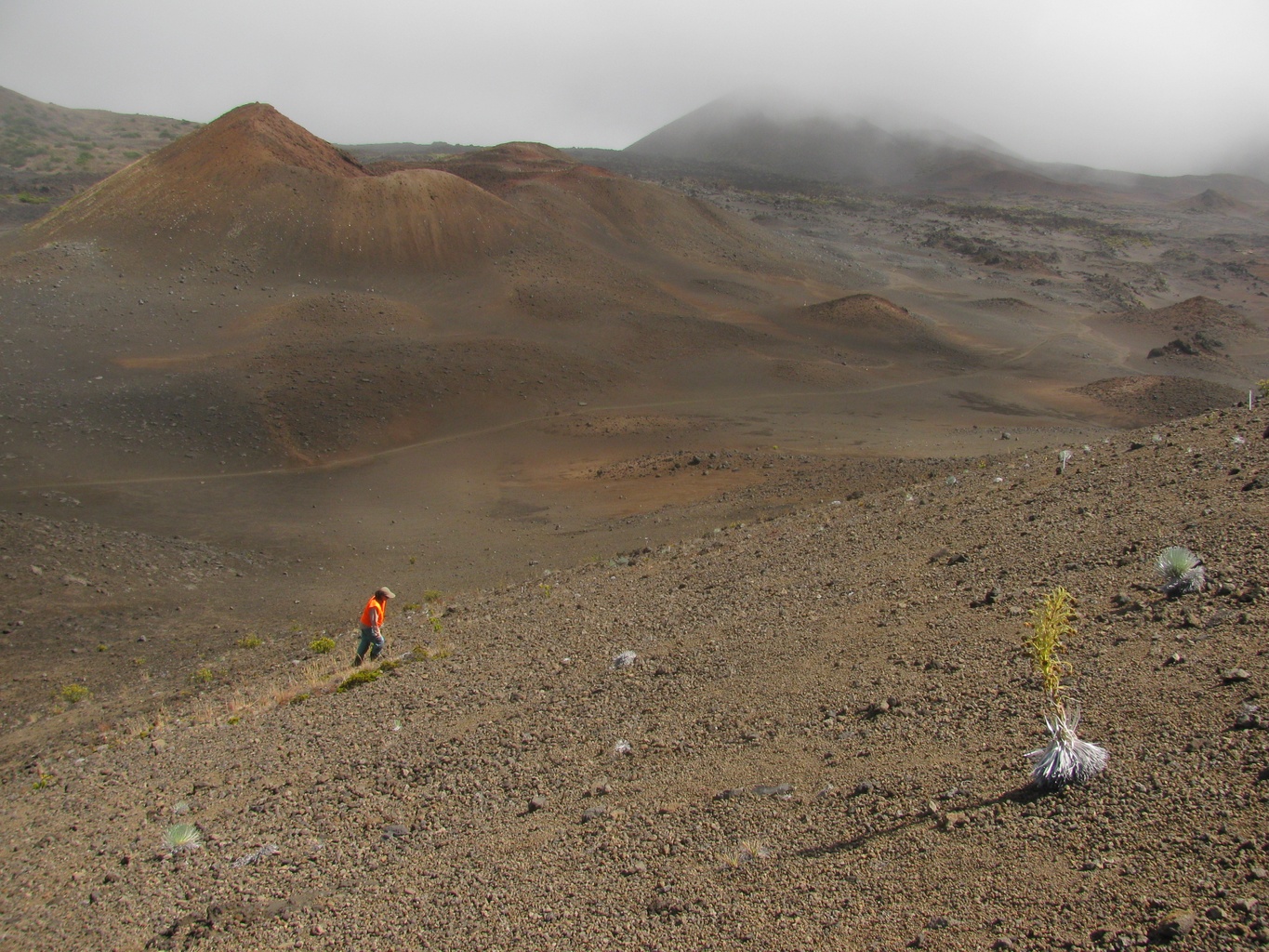 Pu'u Naue Cinder Cone