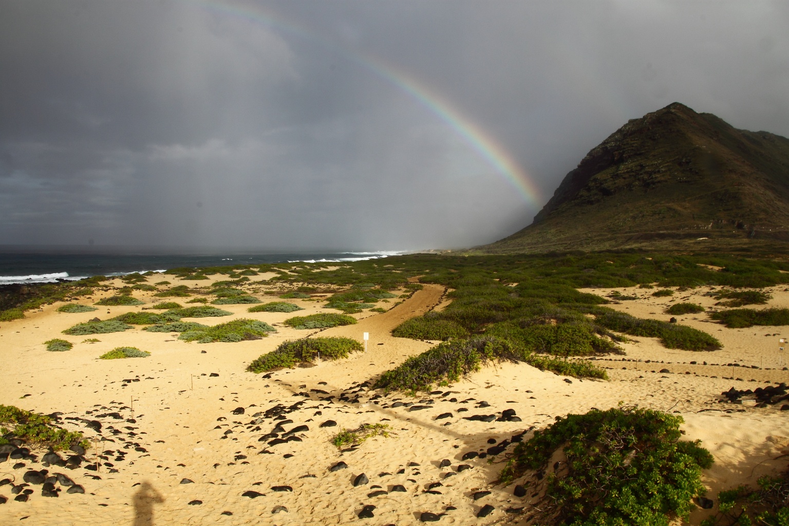 Ka‘Ena Point (Ka'ena Point State Park)