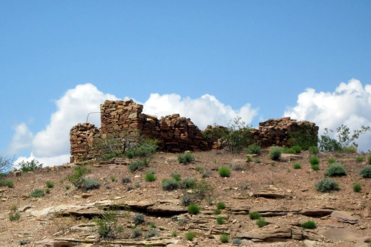 Fort Pearce Petroglyphs