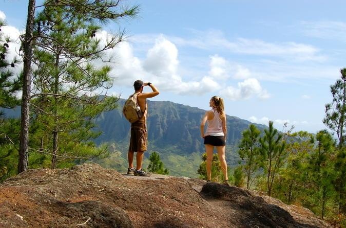 Oahu Volcanic Rainforest Hiking Adventure