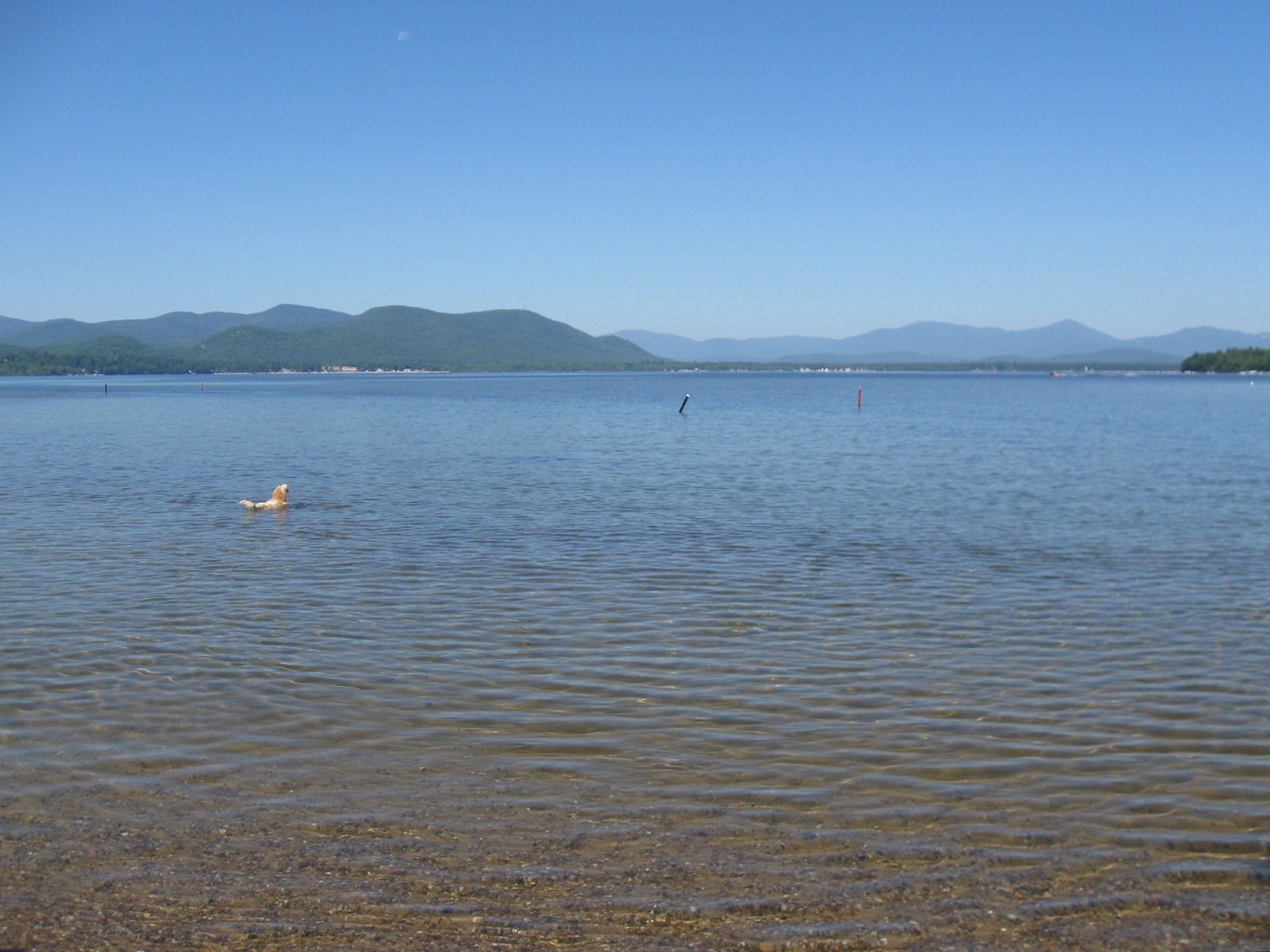 Ossipee Lake