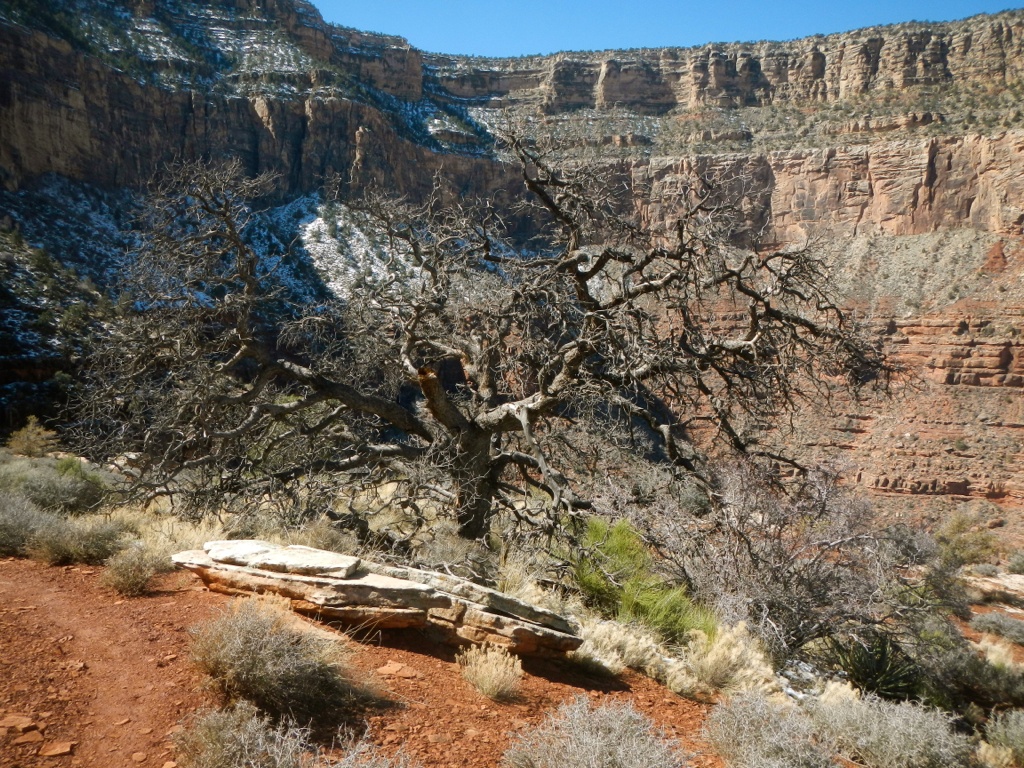 Boucher Trail