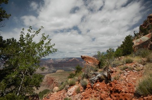 Coconino Saddle and/or Horseshoe Mesa (Grandview Trail)