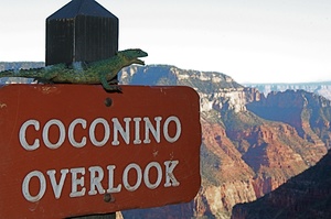 Coconino Overlook & Supai Tunnel (North Kaibab Trail)