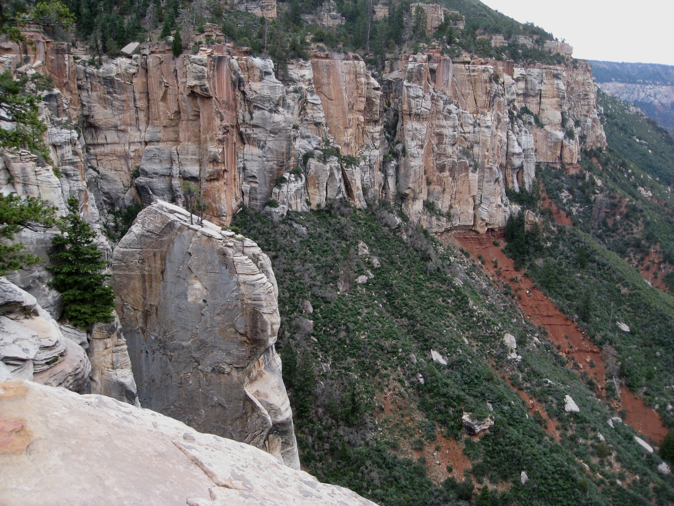 Coconino Overlook & Supai Tunnel (North Kaibab Trail)
