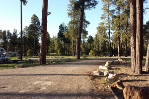 Jacob Lake Campground (North Rim)