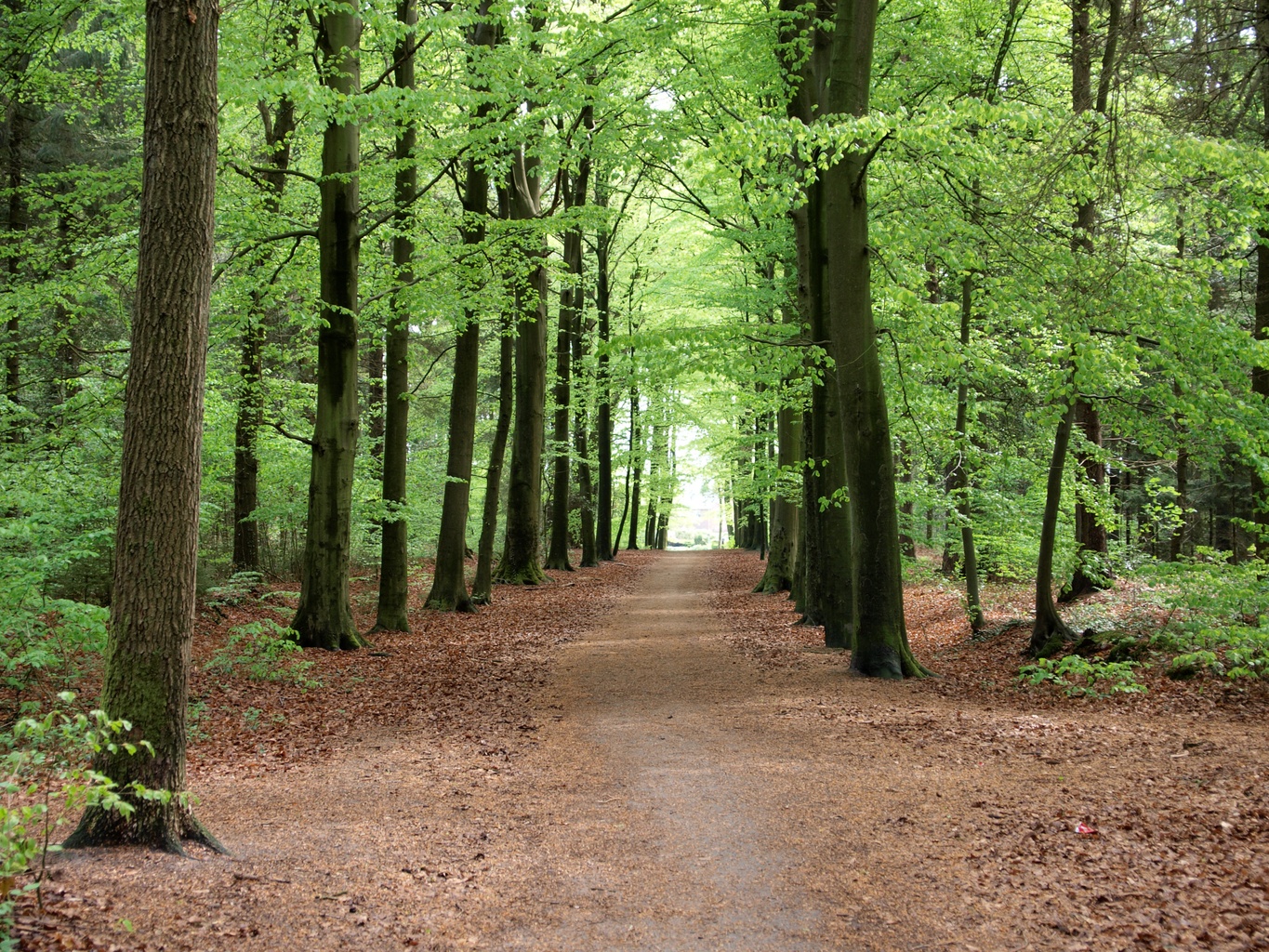 National Parks in the Netherlands