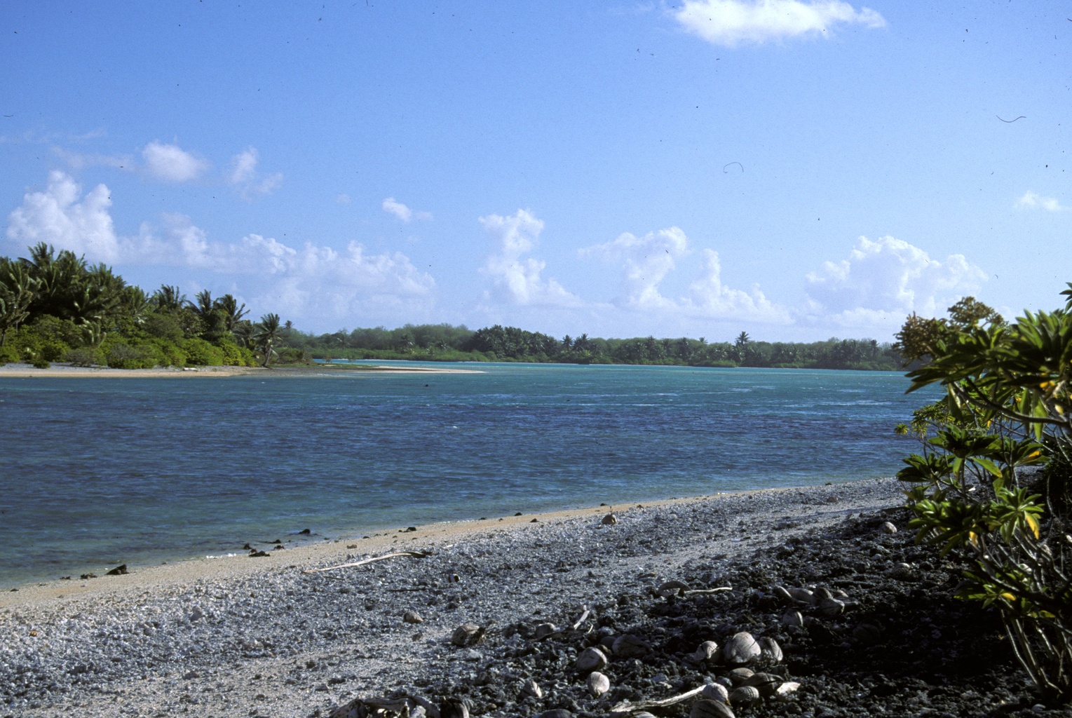Nikumaroro Island