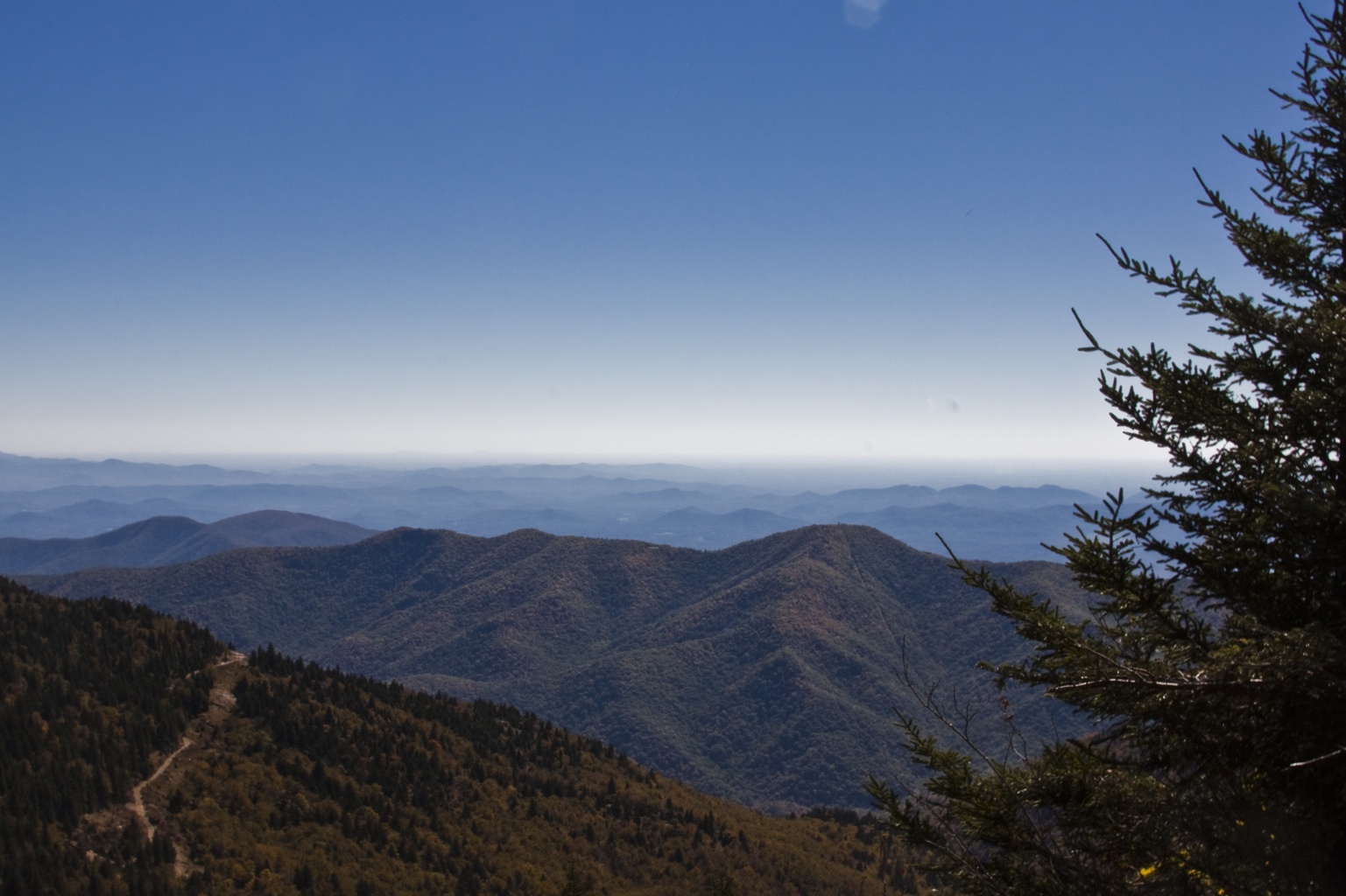 Mount Mitchell State Park