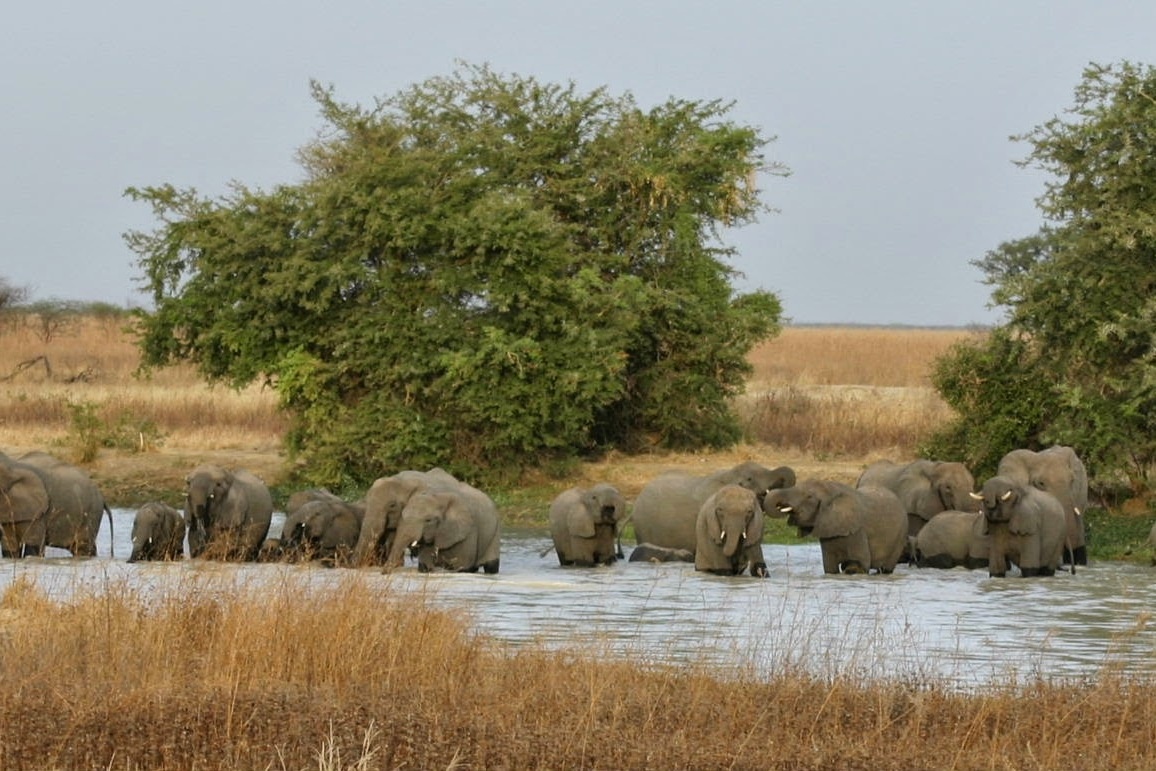 Waza National Park