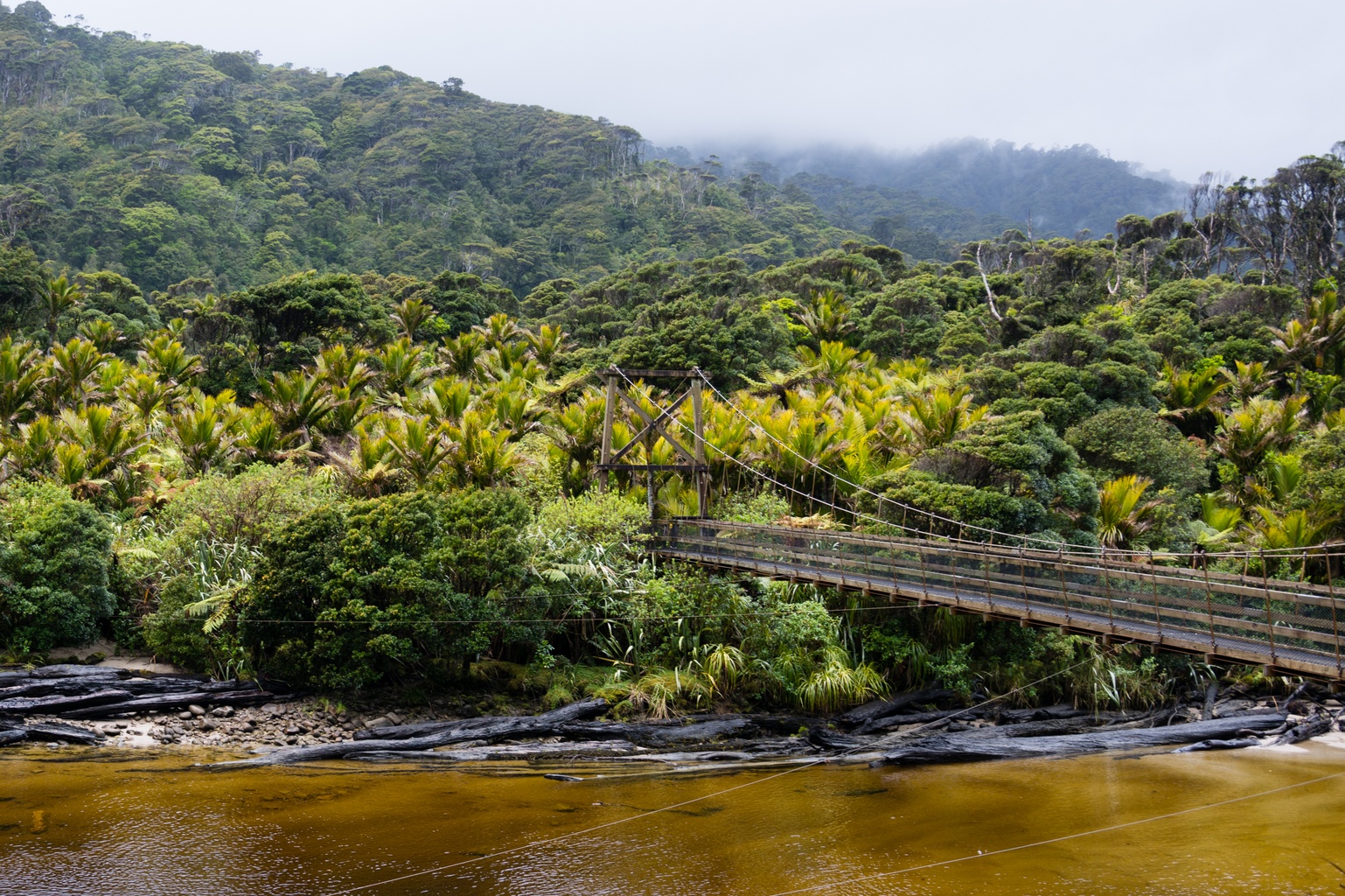 Kohaihai River Bridge (Heaphy Track)