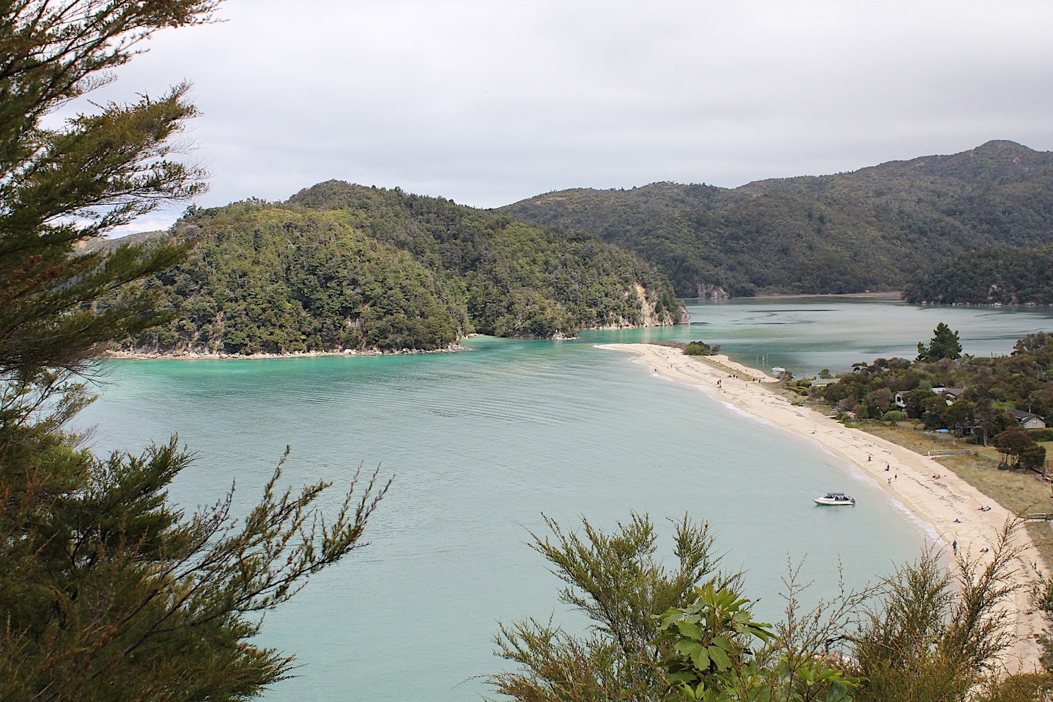 Bark Bay (Abel Tasman Coast Track)