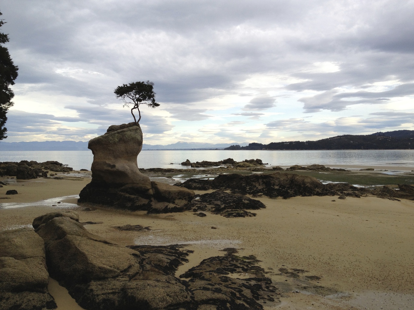 Tinline Bay Beach (Abel Tasman Coast Track)