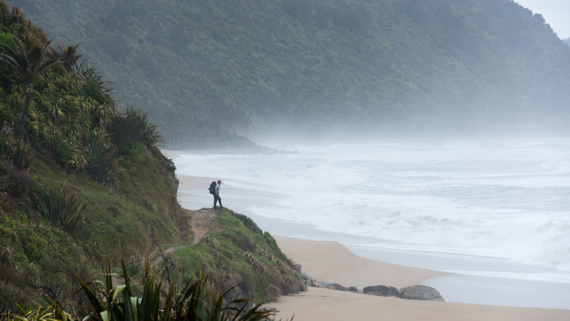 Heaphy Track