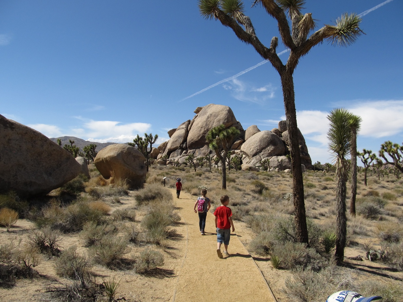 Cap Rock Nature Trail