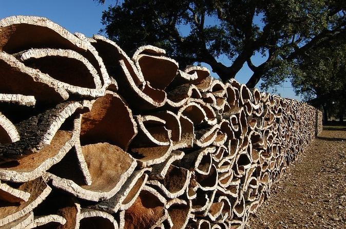 Eco- Cork Factory Tour & Museum