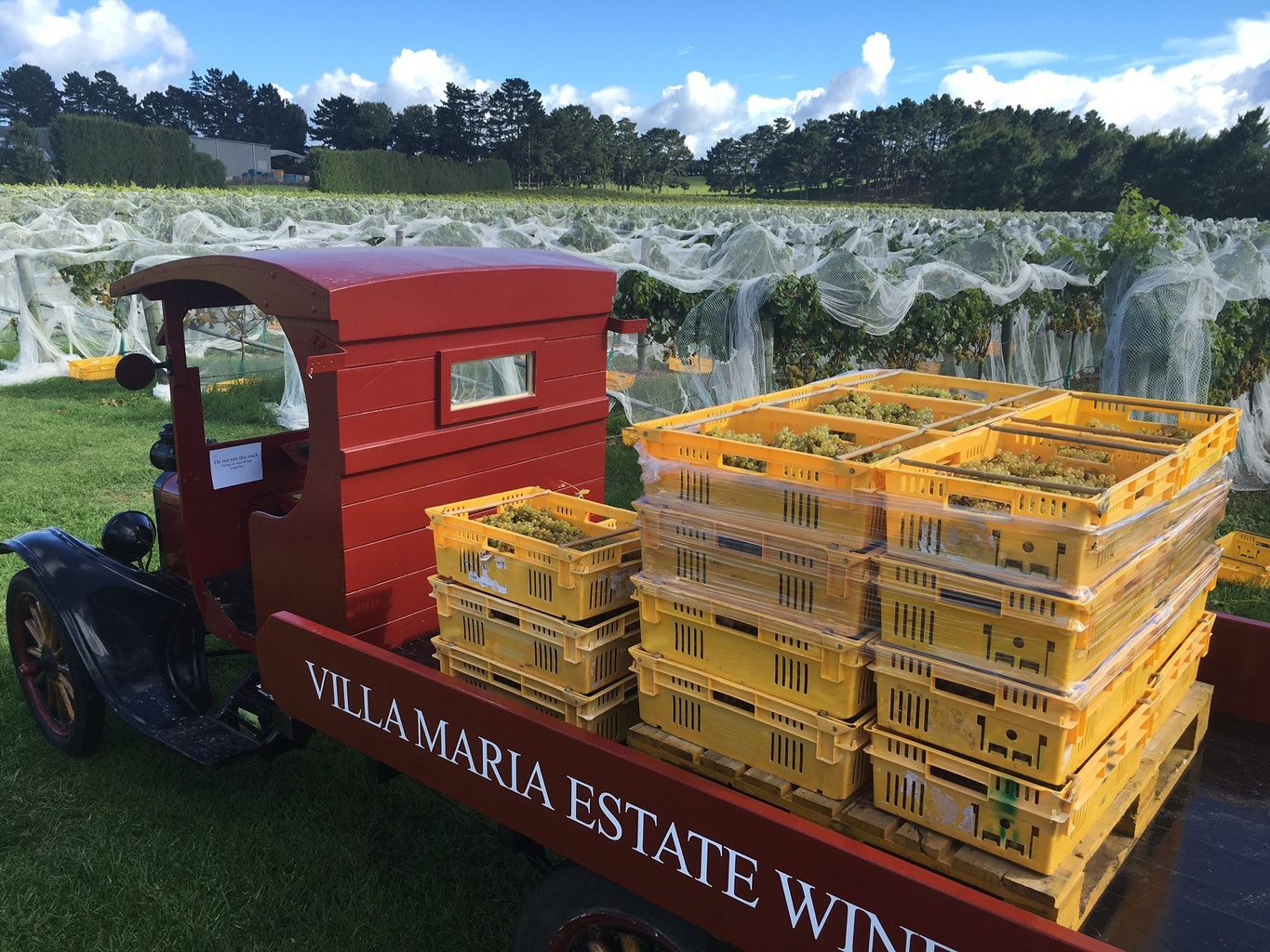 Villa Maria Estate (Auckland)