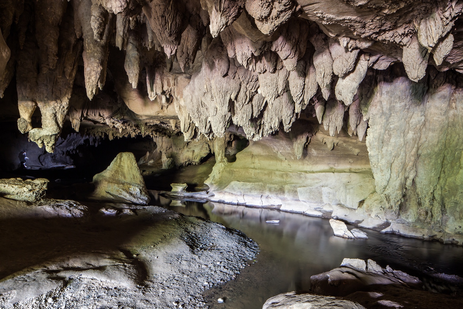 Waipu Caves