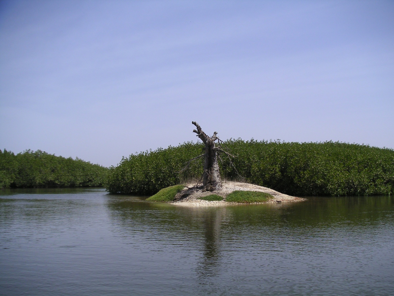 Saloum Delta