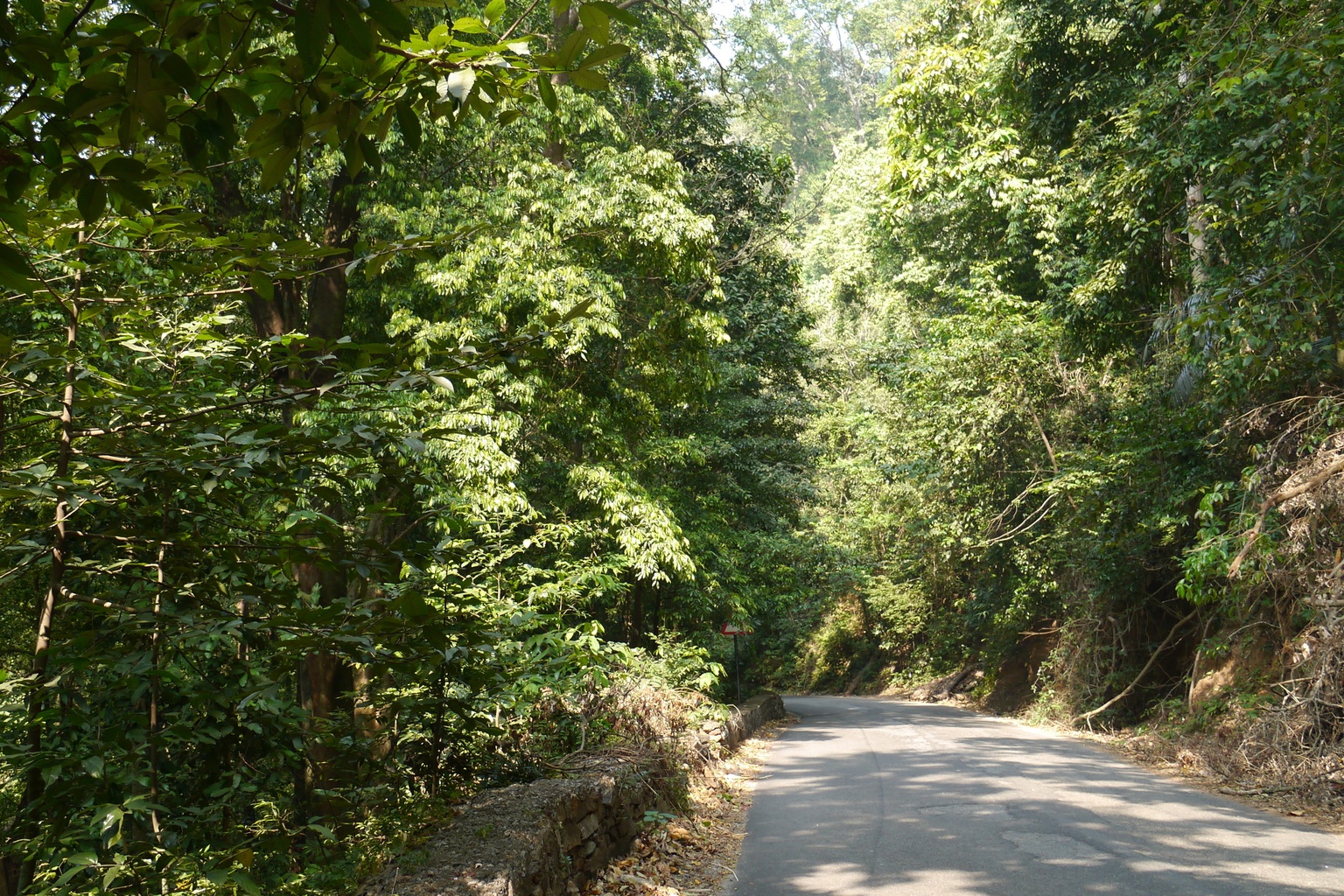 Agumbe Reserved Forest