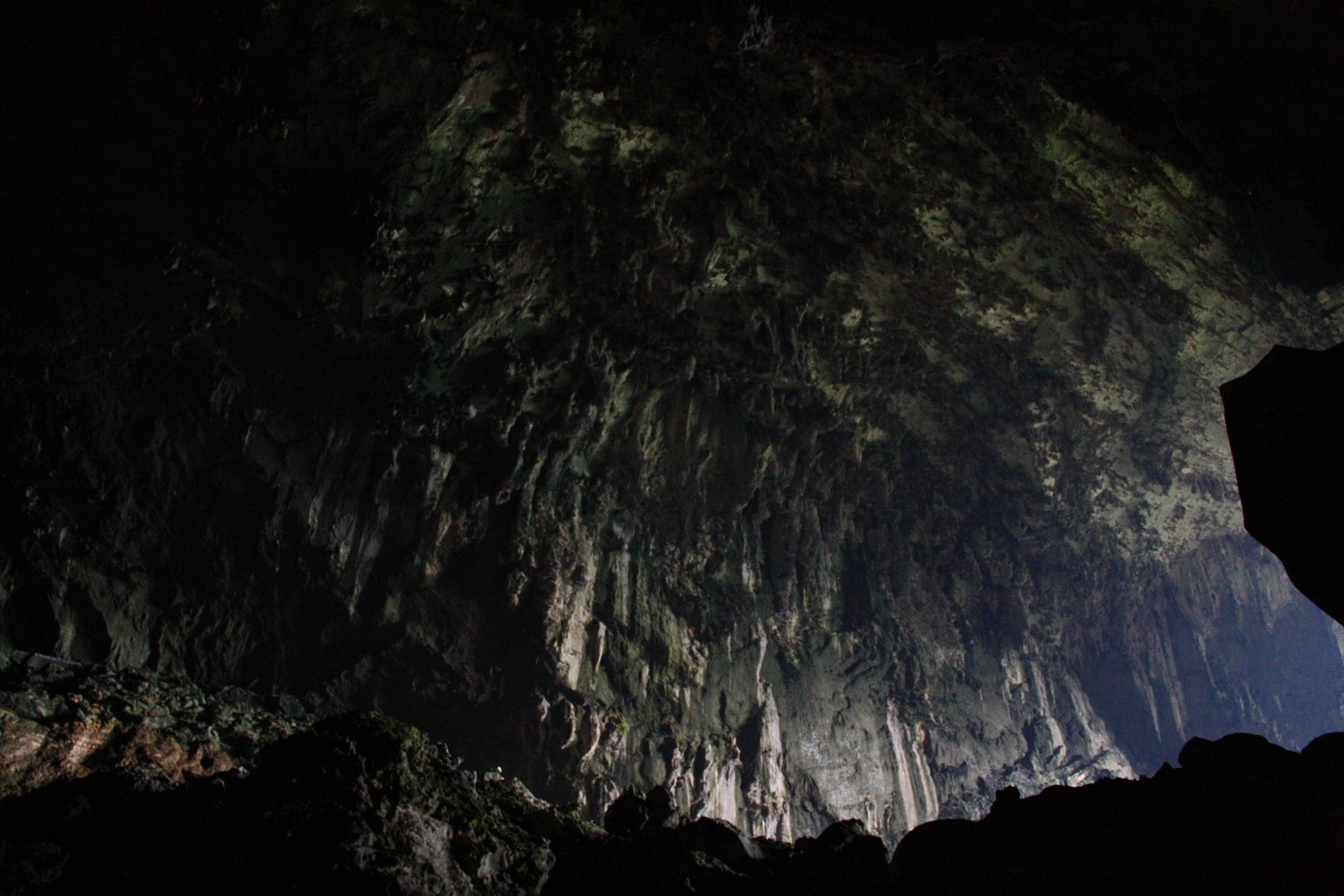 Deer Cave (Gua Rusa)