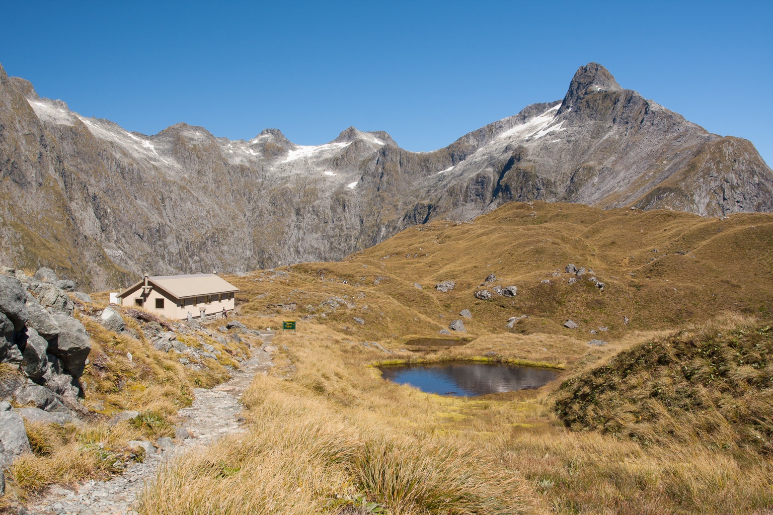 Mackinnon Pass (Milford Track)