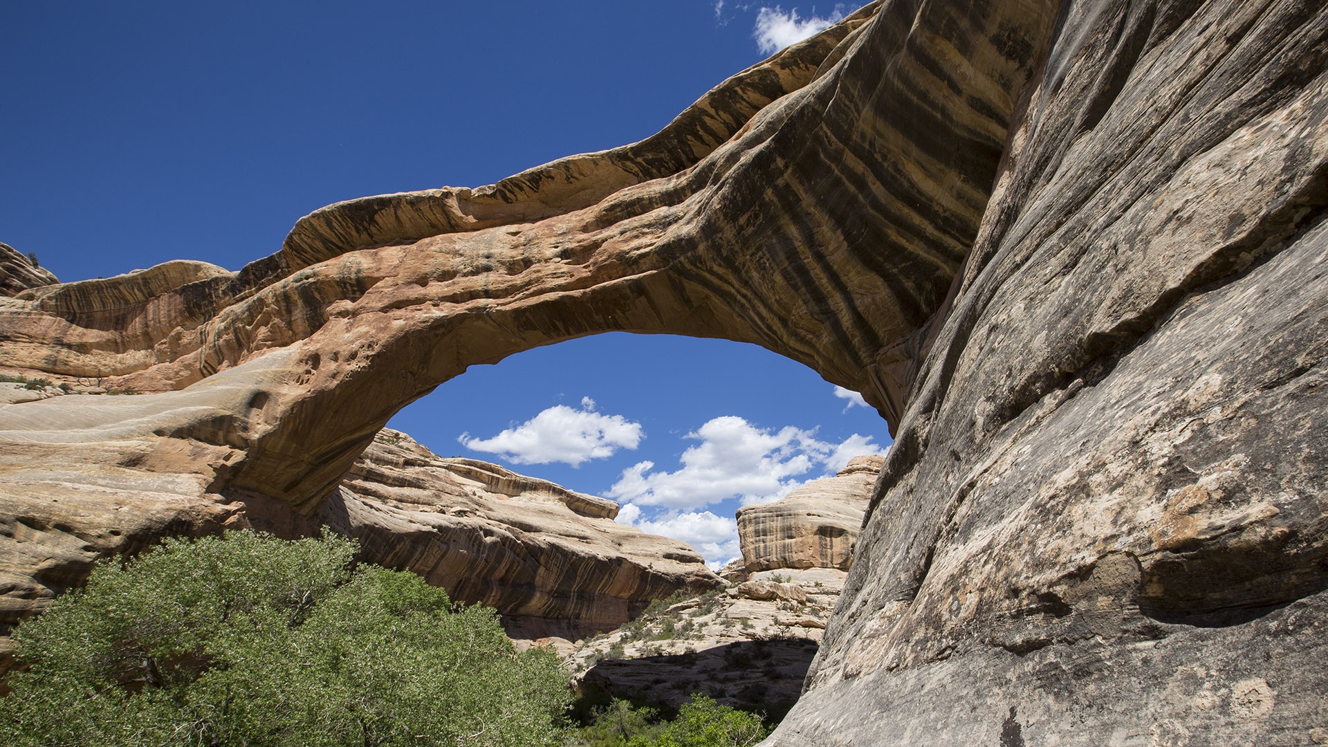 Natural Bridges National Monument
