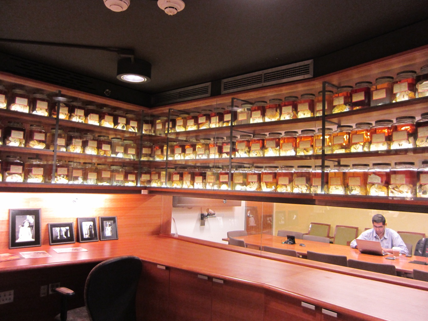 Cushing Brain Collection