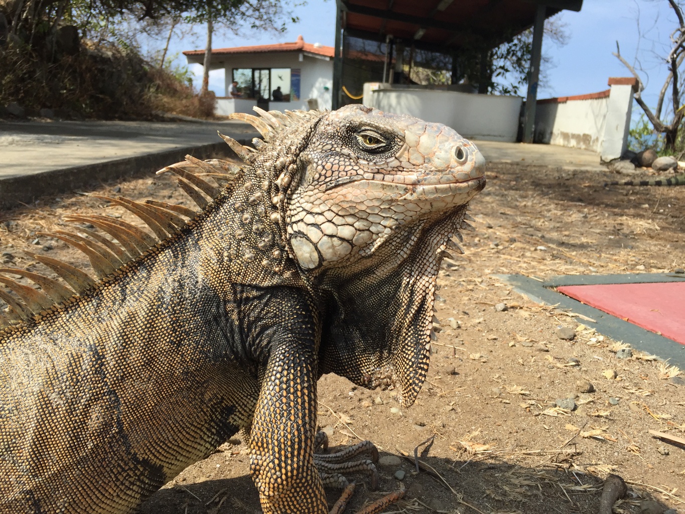 Marine Exhibition Center of Punta Culebra (Punta Culebra Nature Center)