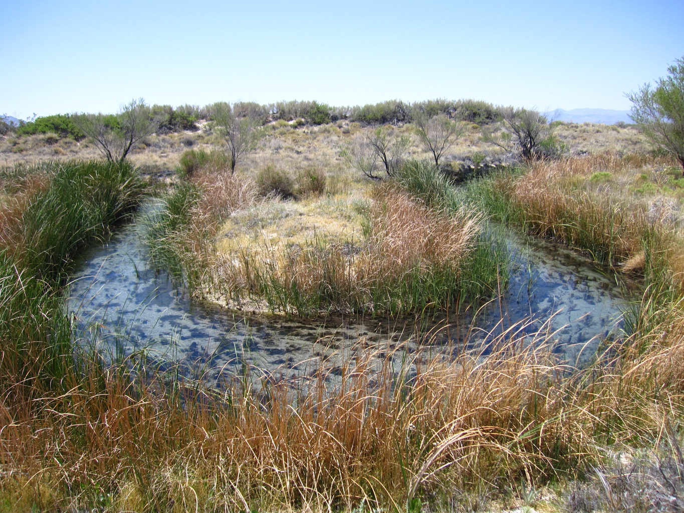 Ash Meadows National Wildlife Refuge