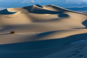 Sandboarding