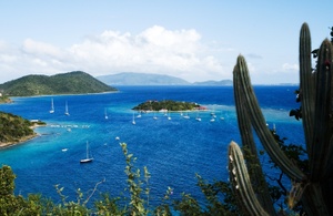 British Virgin Islands (BVI's)