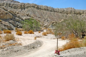 Box Canyon Road
