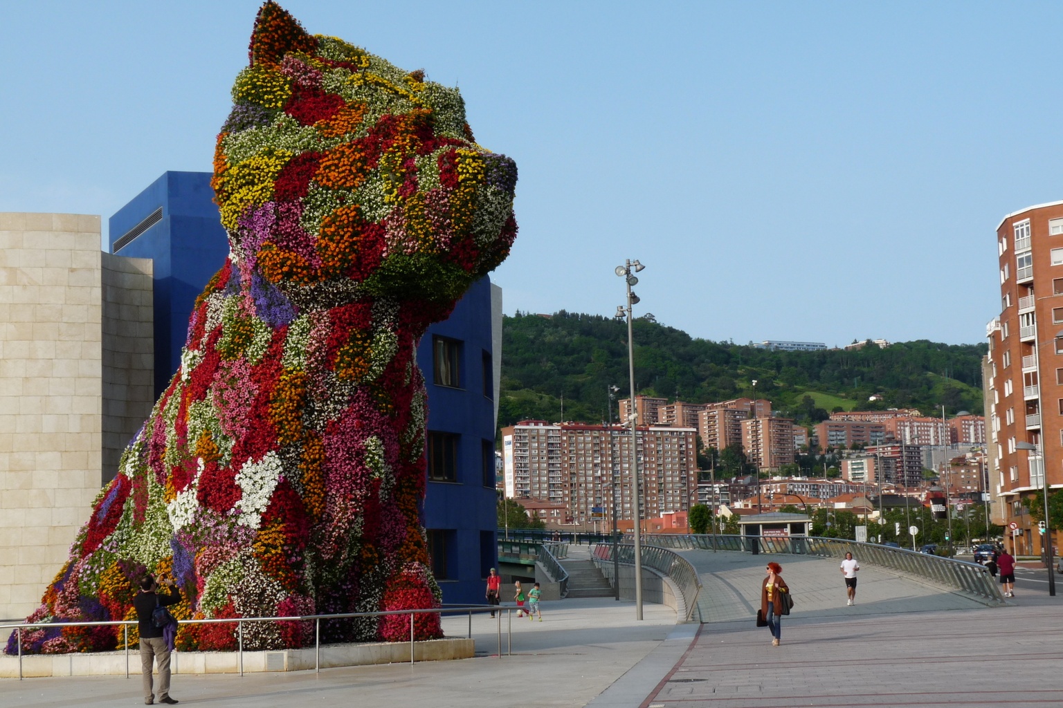 Bilbao Puppy