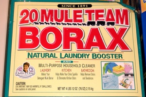 20 Mule Team Borax Terminus