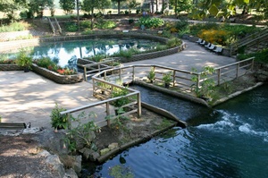 Blue Spring Heritage Center