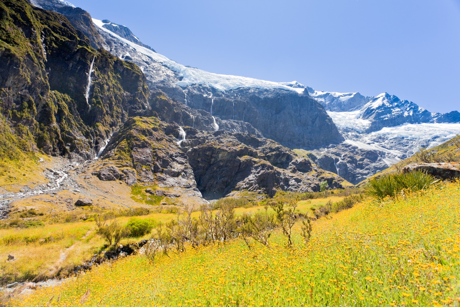 Mount Aspiring National Park